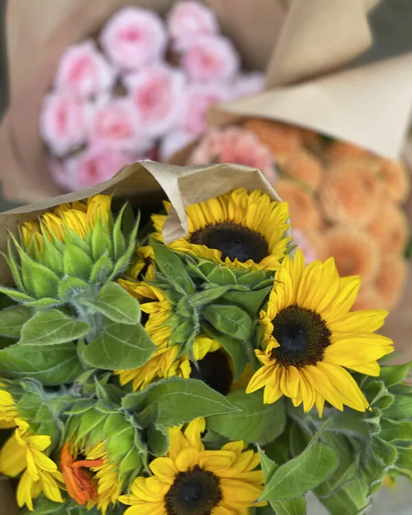 Shop - Lisa Kingston Flowers